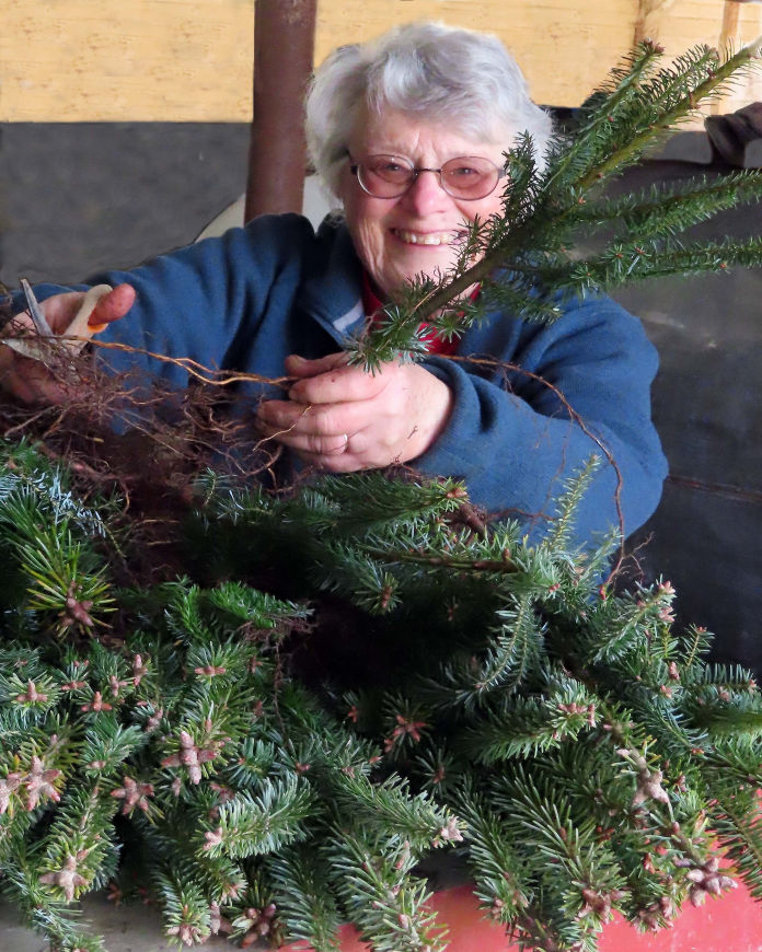 Home [www.cranstonschristmastreefarm.com]