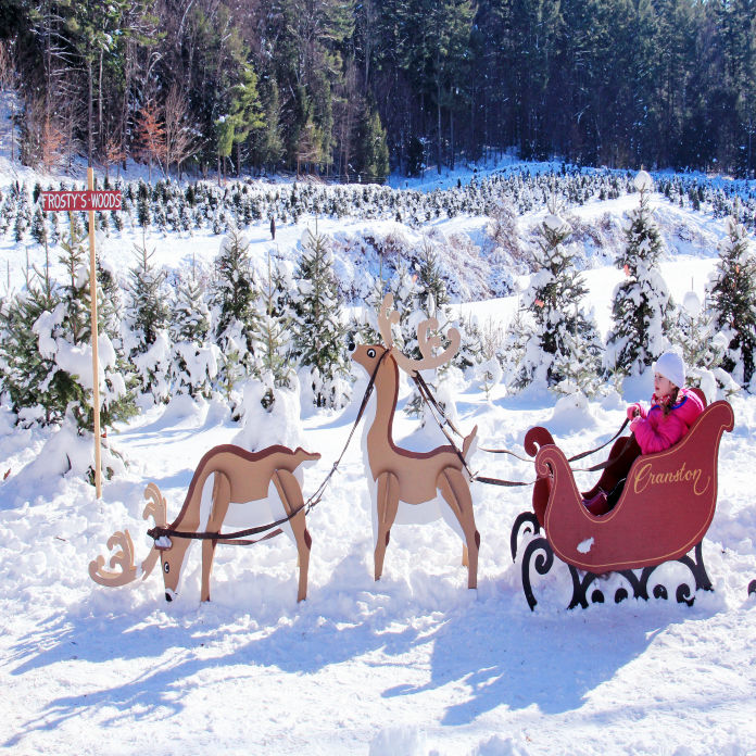 Home [www.cranstonschristmastreefarm.com]